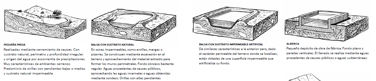 Neovoberca: Una balsa llena de vida