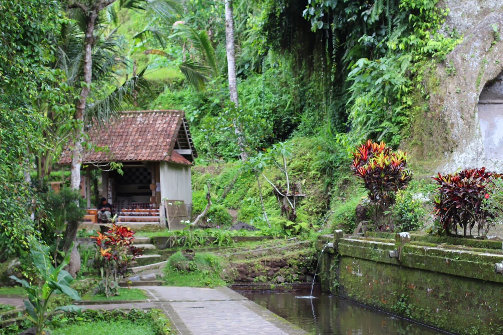 Let's Be Adventurers: Lush and Green Ubud, Bali