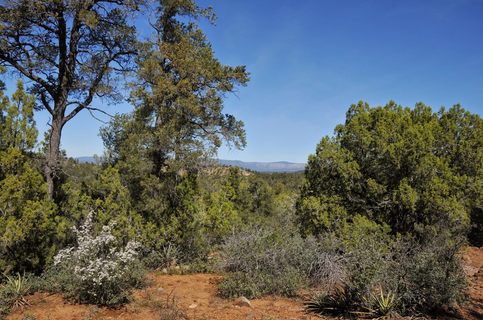 Arizona Hiking: ROUND VALLEY TRAIL