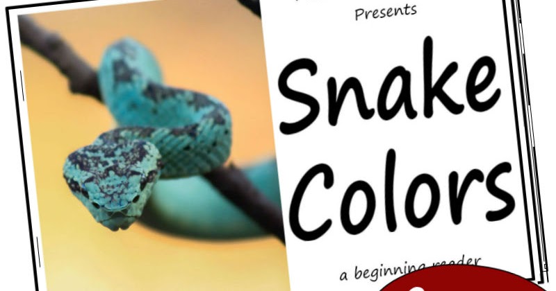 {FREE} Snake Colors Easy Reader Book | Preschool Powol Packets