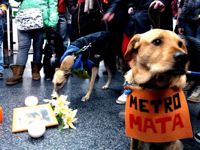 Mis galgas, yo y the ruby slippers: "EL TUNEL" por RUTH TOLEDANO. Sobre ...