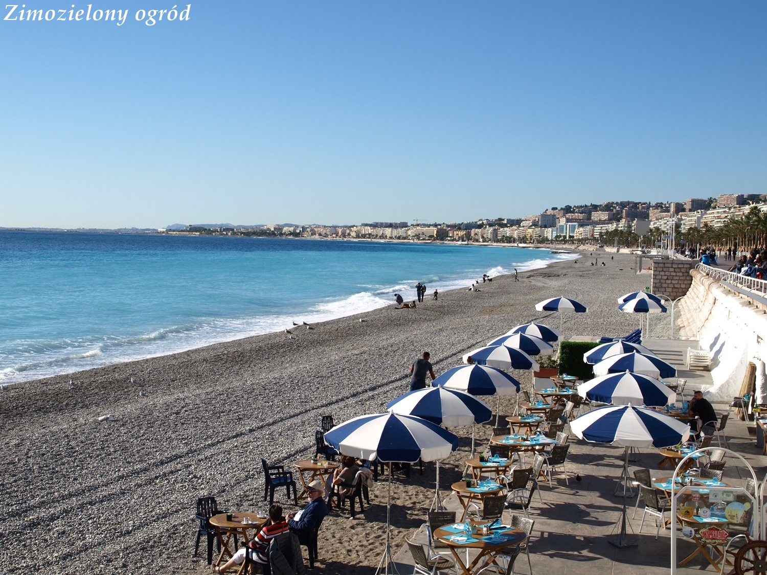 Zimozielony ogród: Nicea - dzień 1