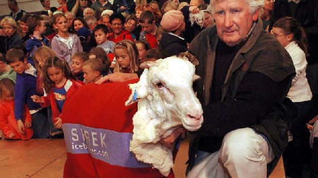 Die K-Files. Knuts Aussenposten im Indischen Ozean: Kein Schaf wie ...