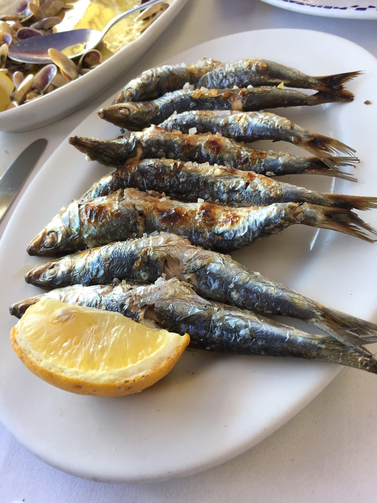 Lentävät sardiinit: Missä sardiinit lentävät?