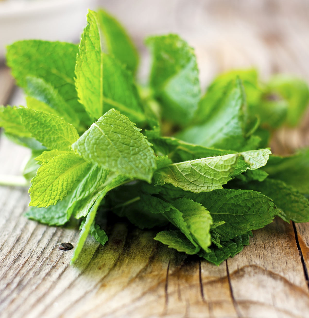 Peach Mint Lemonade | The Iron You | Bloglovin’