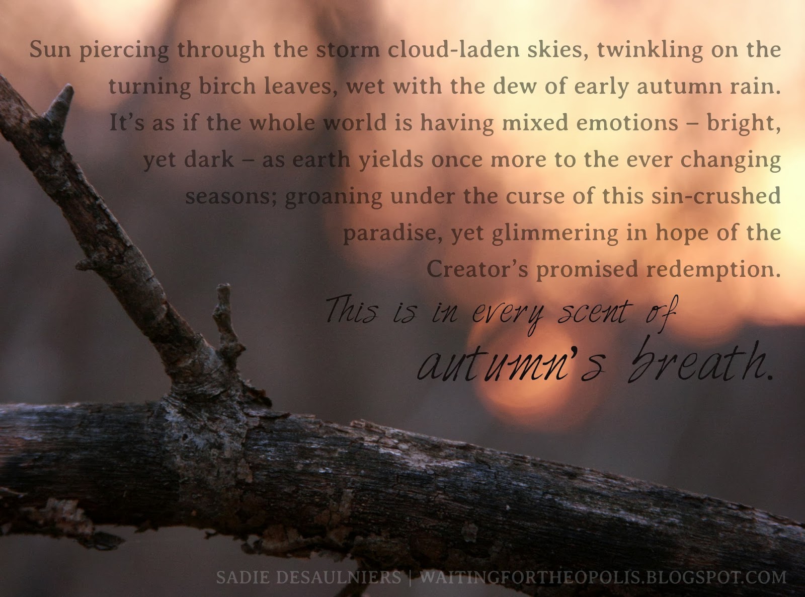 Waiting for Theopolis