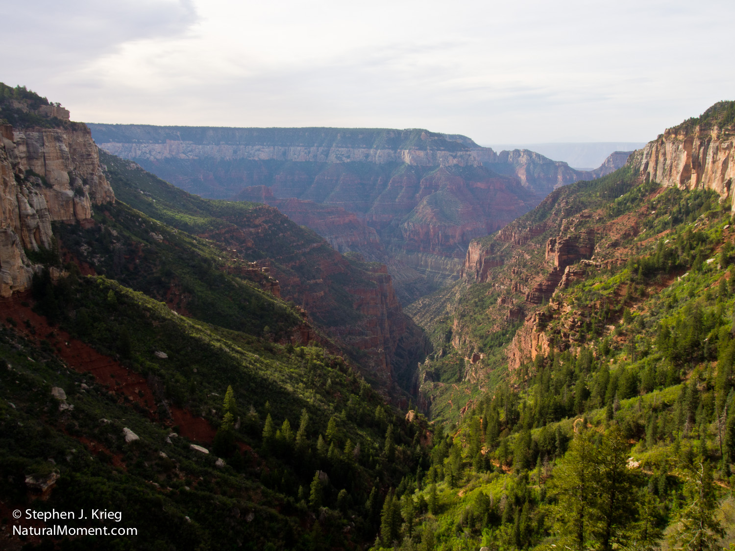 Grand Canyon Photography by Stephen Krieg: Coconino Overlook, North ...