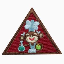 Girl Scout Troop #234: Brownie Uniform