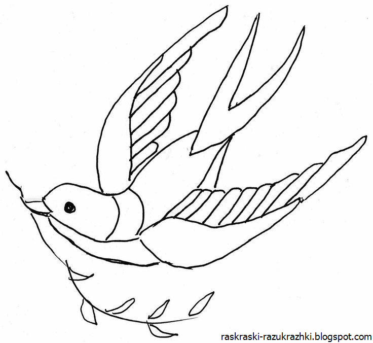 Ласточка Раскраска