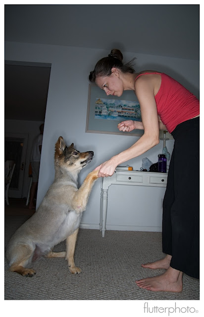 flutterphoto blog: Remembering Satchi