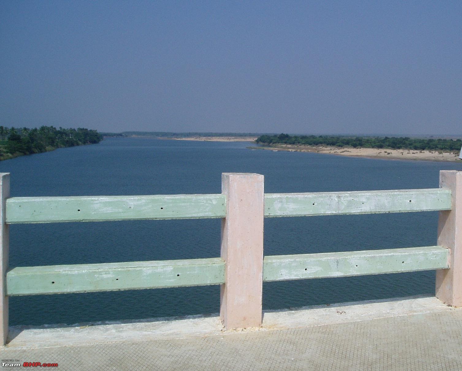 REPALLE: Repalle-repalle