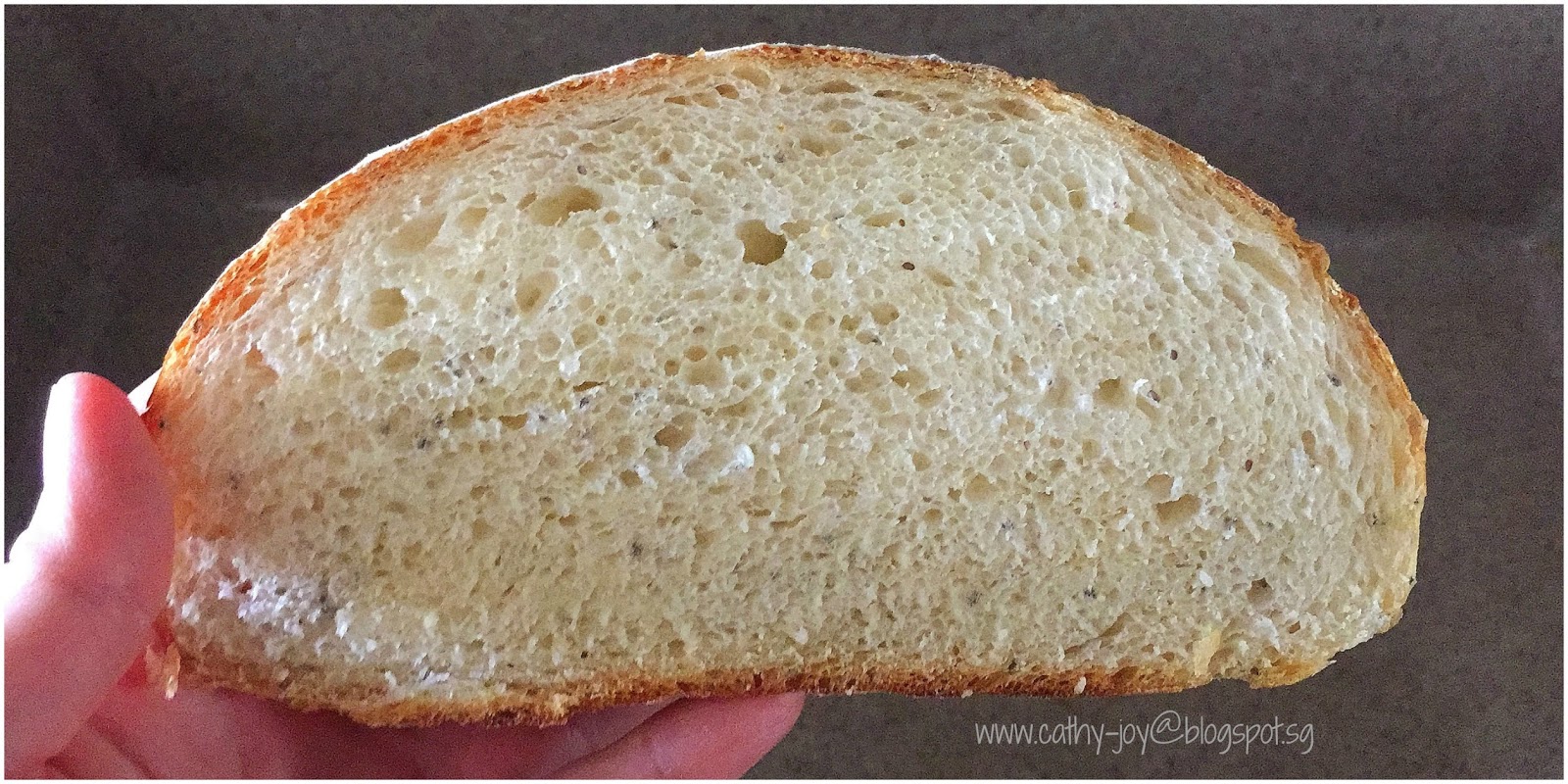 cathy's joy: 16hrs Pre-fermented Sponge Dough