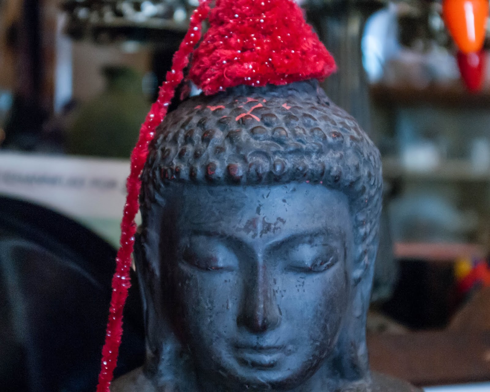 NEW SAVANNA: July 2019