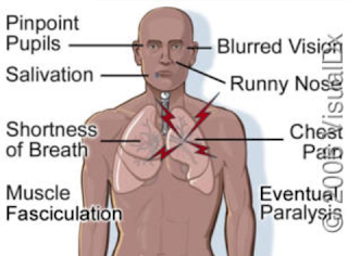 What is Sarin? And what it is about?