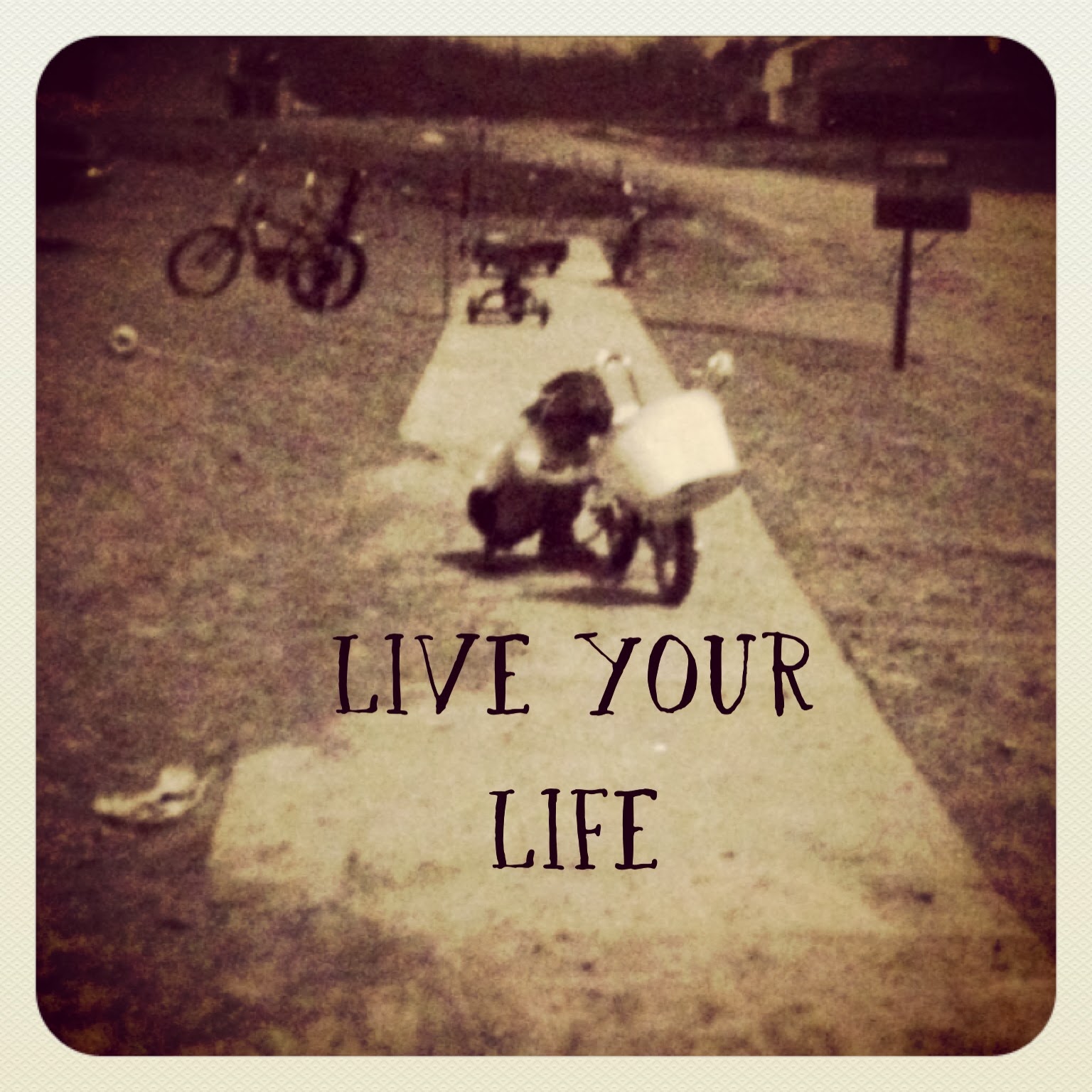 Live your life