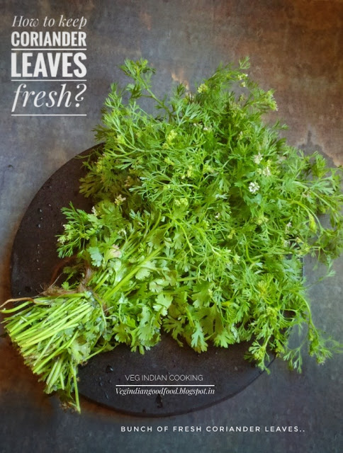 Veg Indian Cooking: How to keep coriander leaves fresh in the ...