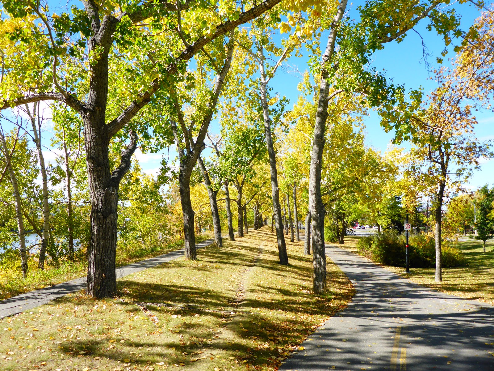 I am Calgary: Calgary: Exploring the Bow River Pathway NW