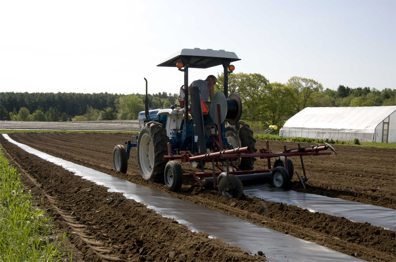 Growing Ideas with Johnny's Selected Seeds: Protect Your Investment ...