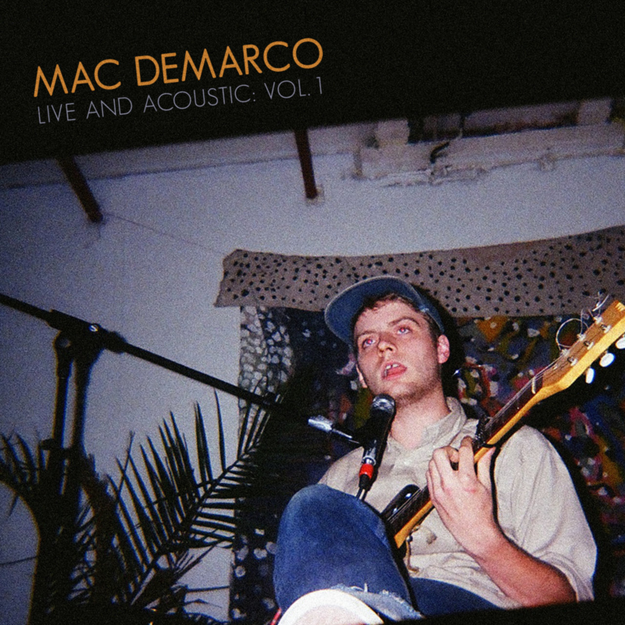 Prohibida su reproducción: Mac DeMarco - Discografía (Descarga)