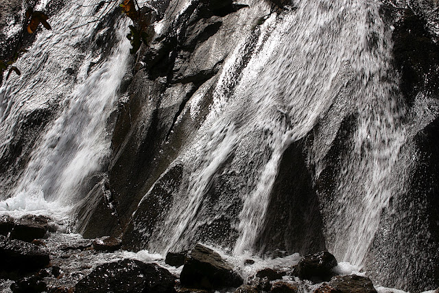 The Pen of the Wayfarer: 2012