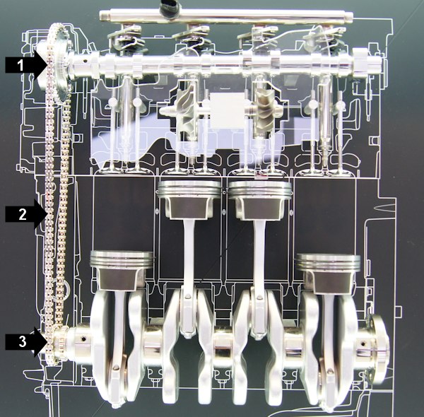 What is the role of the distribution chain and its importance in the ...