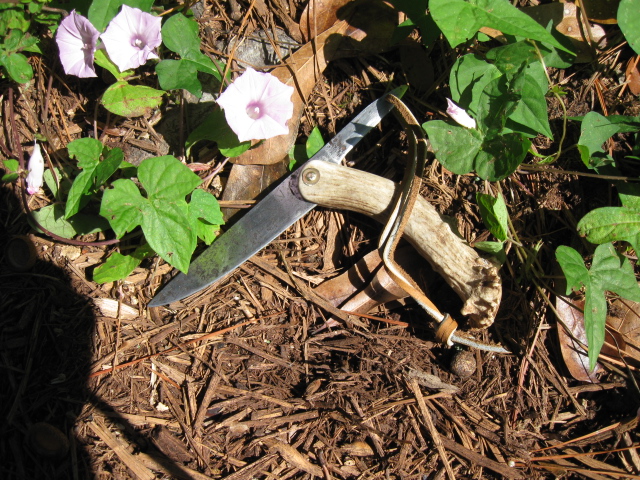 Wildcat Outdoors: Antler Handle Friction Folder