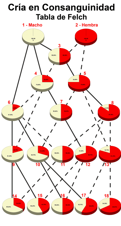 La tabla de Felch ~ Canaricultura de Gerena