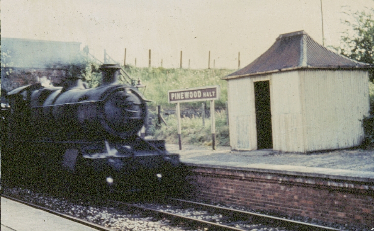 Public Transport Experience: Notable Newbury Niceties [5]