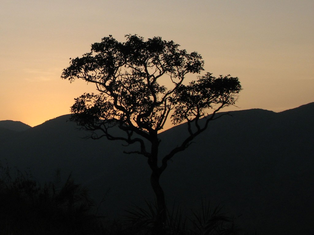 Tamilnadu Tourism: Muthaliar Oothu, Shenbagathoppu, Srivilliputhur ...