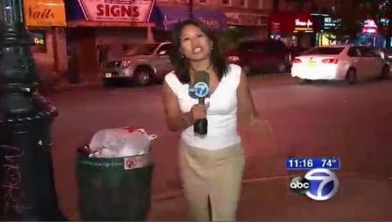 Attractive American News Personalities: ABC 7'S NINA PINEDA
