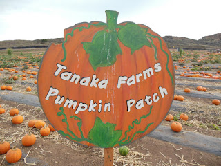 Pumpkinmania!