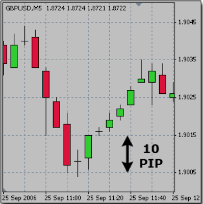 Pips, Lot, Margin & Leverage | Bornean Forex Trader