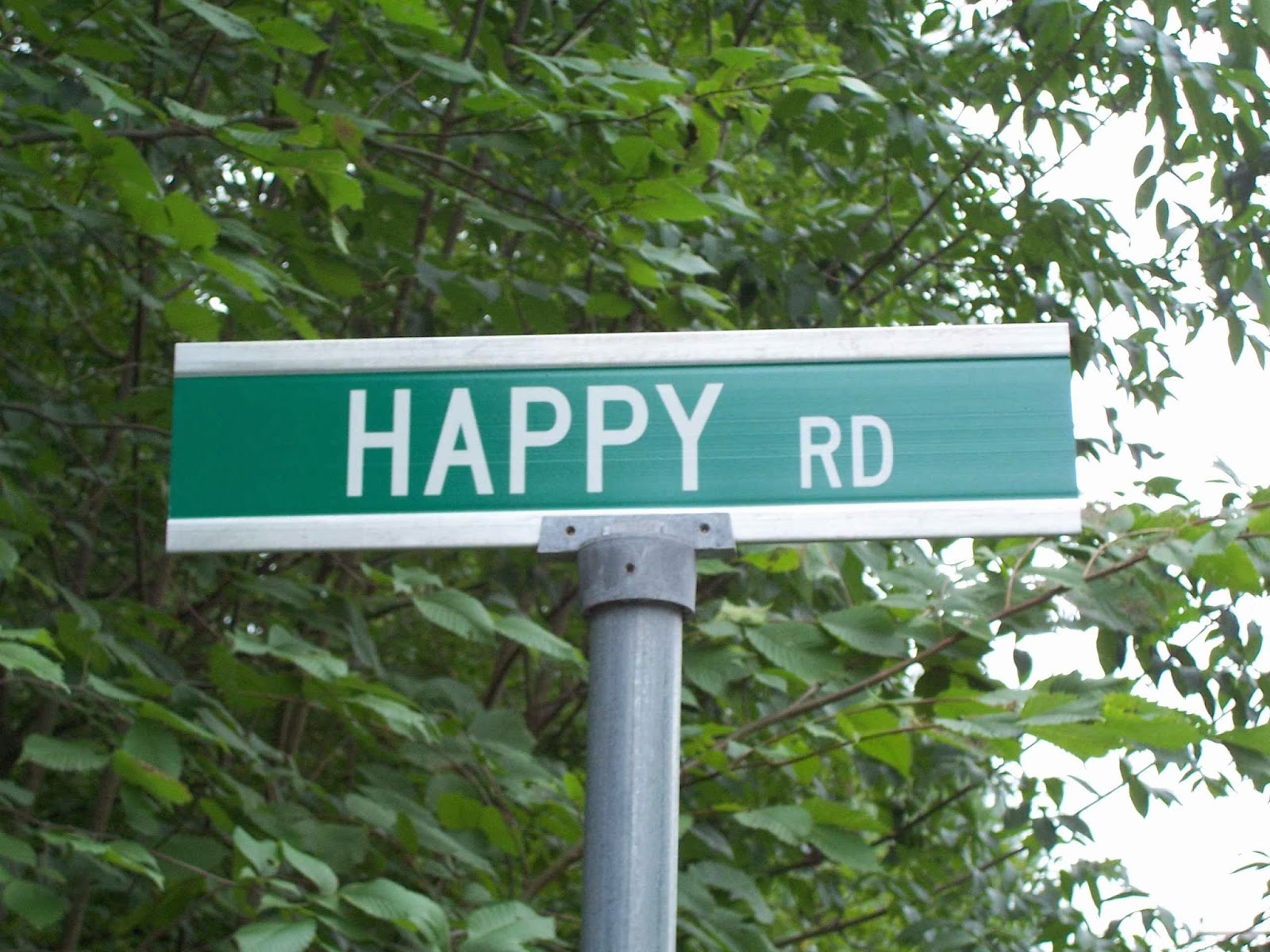 What's the Diehl?: October 2013