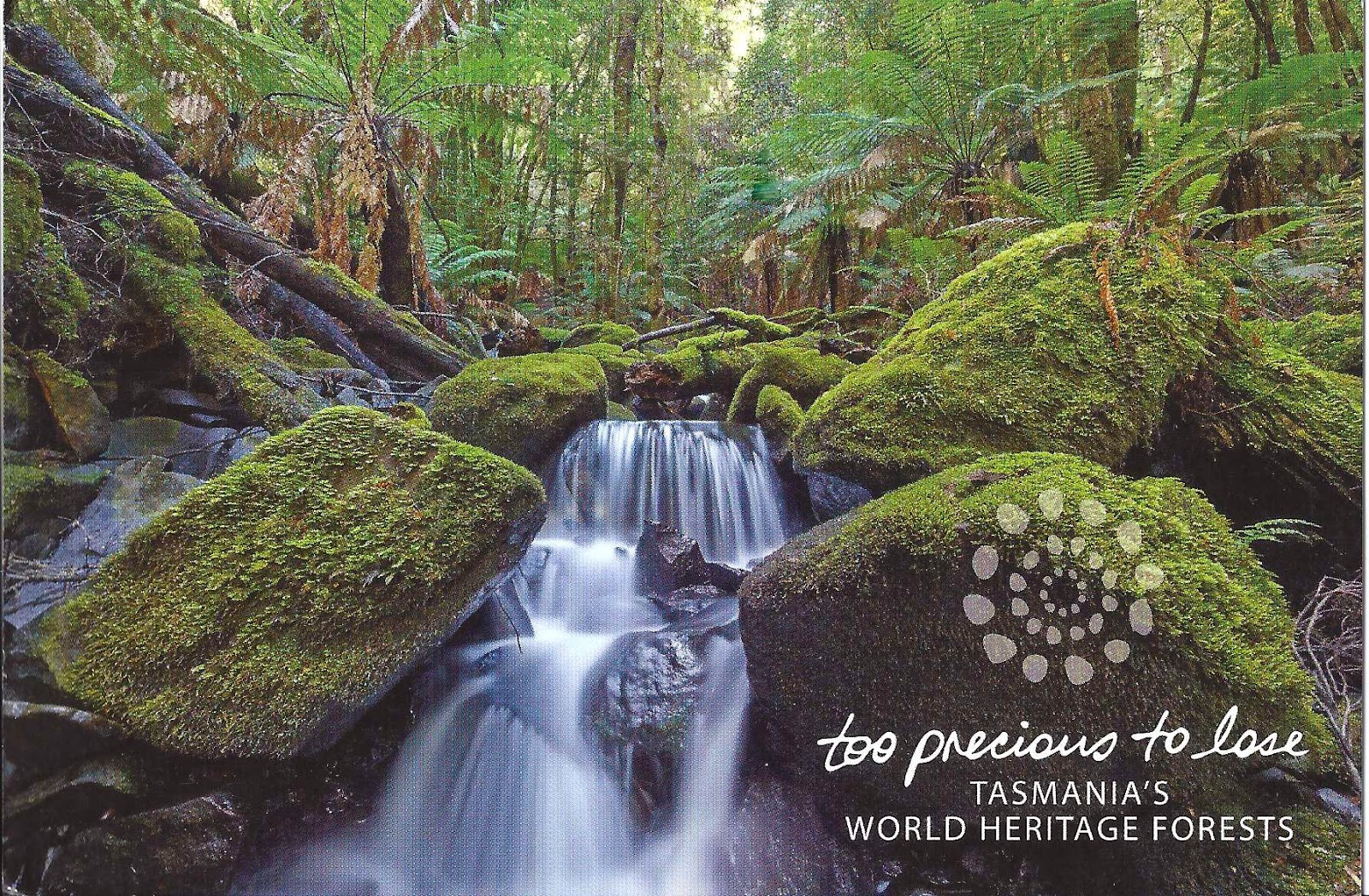 A Journey of Postcards: Tasmania's World Heritage Forests