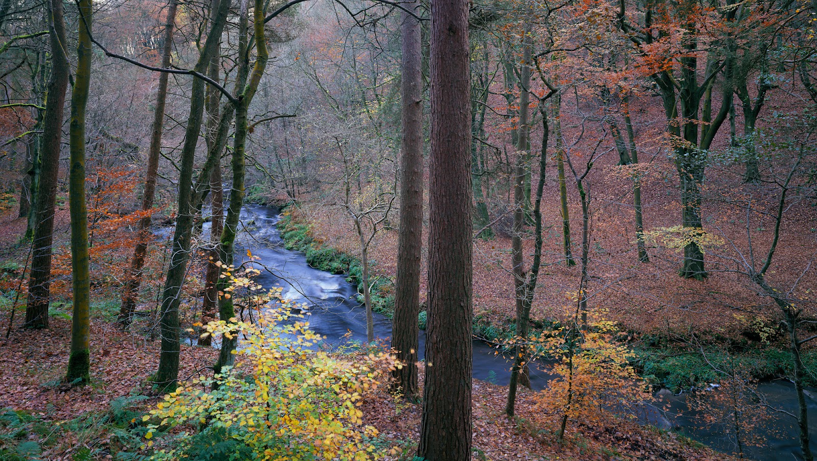 Imogen Lawrence Photography: Tim Parkin Analysis