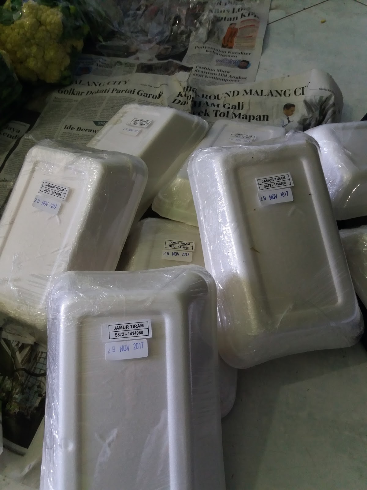 Packaging Sayuran Alim Fresh Fruit And Vegetable | Ihsan Agribisnis