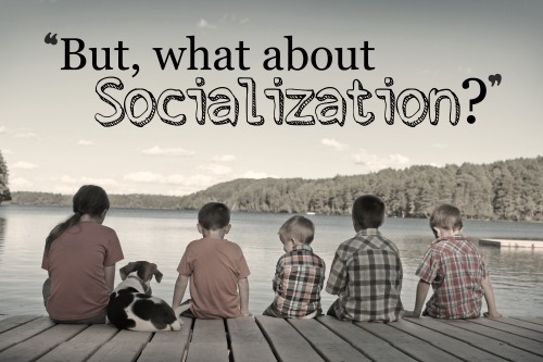 The Unlikely Homeschool: "But, what about socialization?"