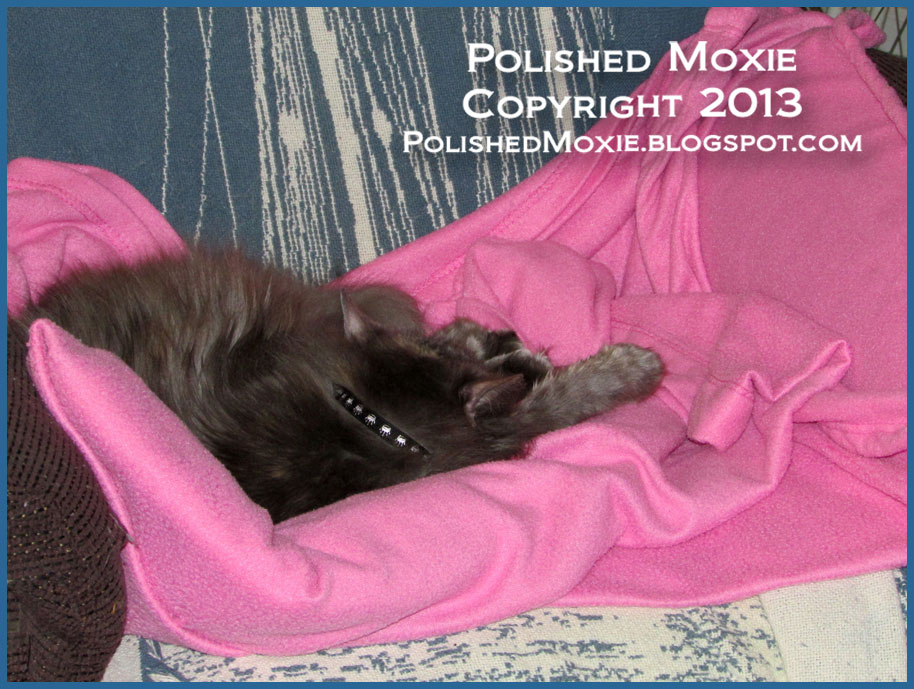 Polished Moxie Concepts and Designs