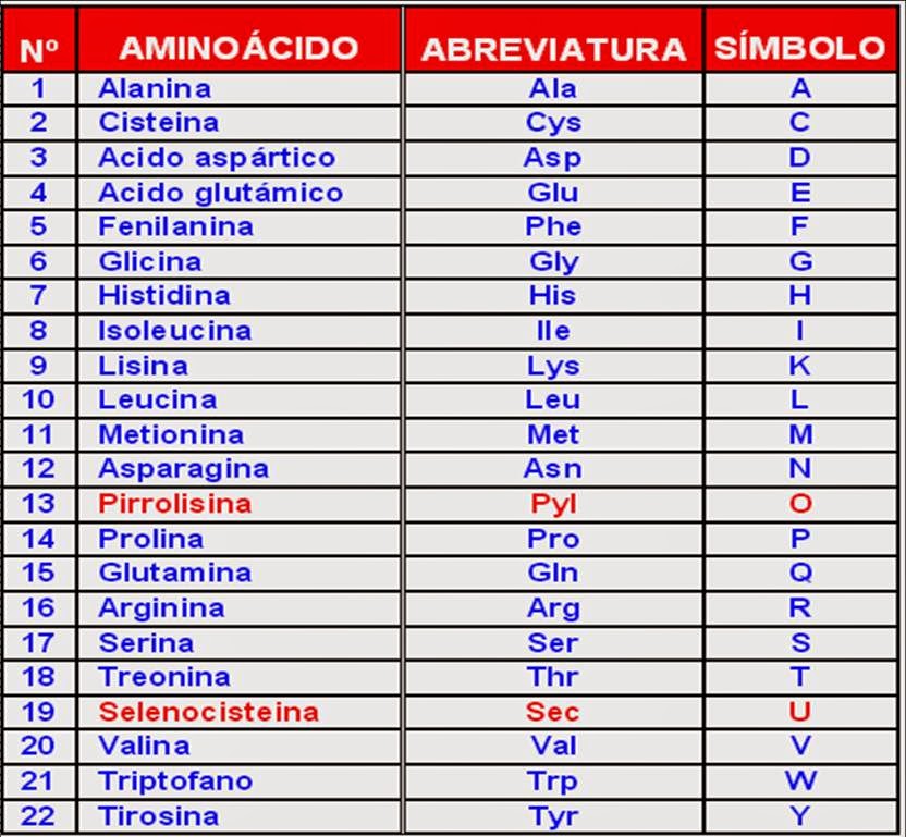 BIODIVERCIENCIA: NOVENO