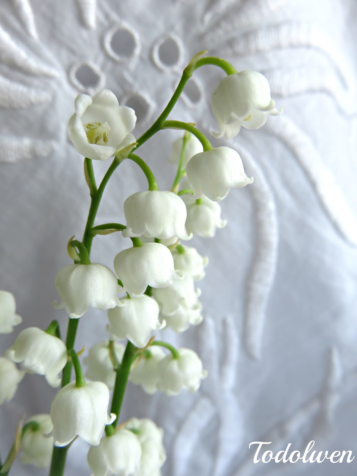 Todolwen: Sweet Smelling Pretties From My Garden