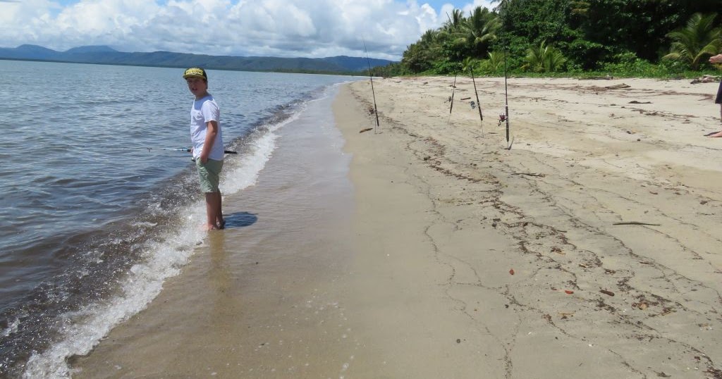 Stories from Shannonvale, aka the Moth man from Mossman: Sharks...