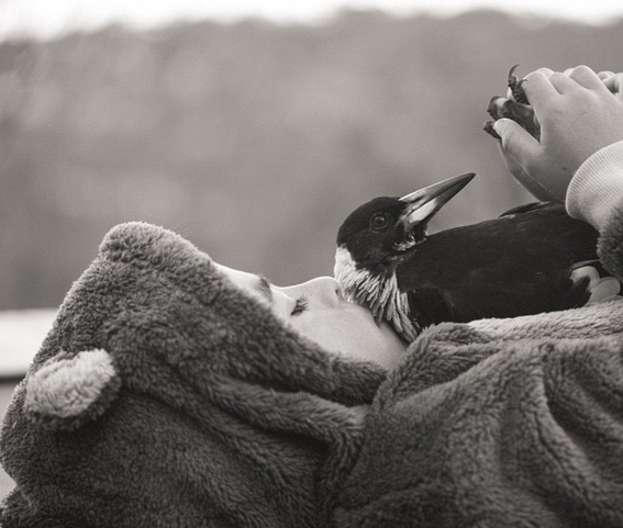 magic world around: This Family Rescued a Magpie Who Became an ...