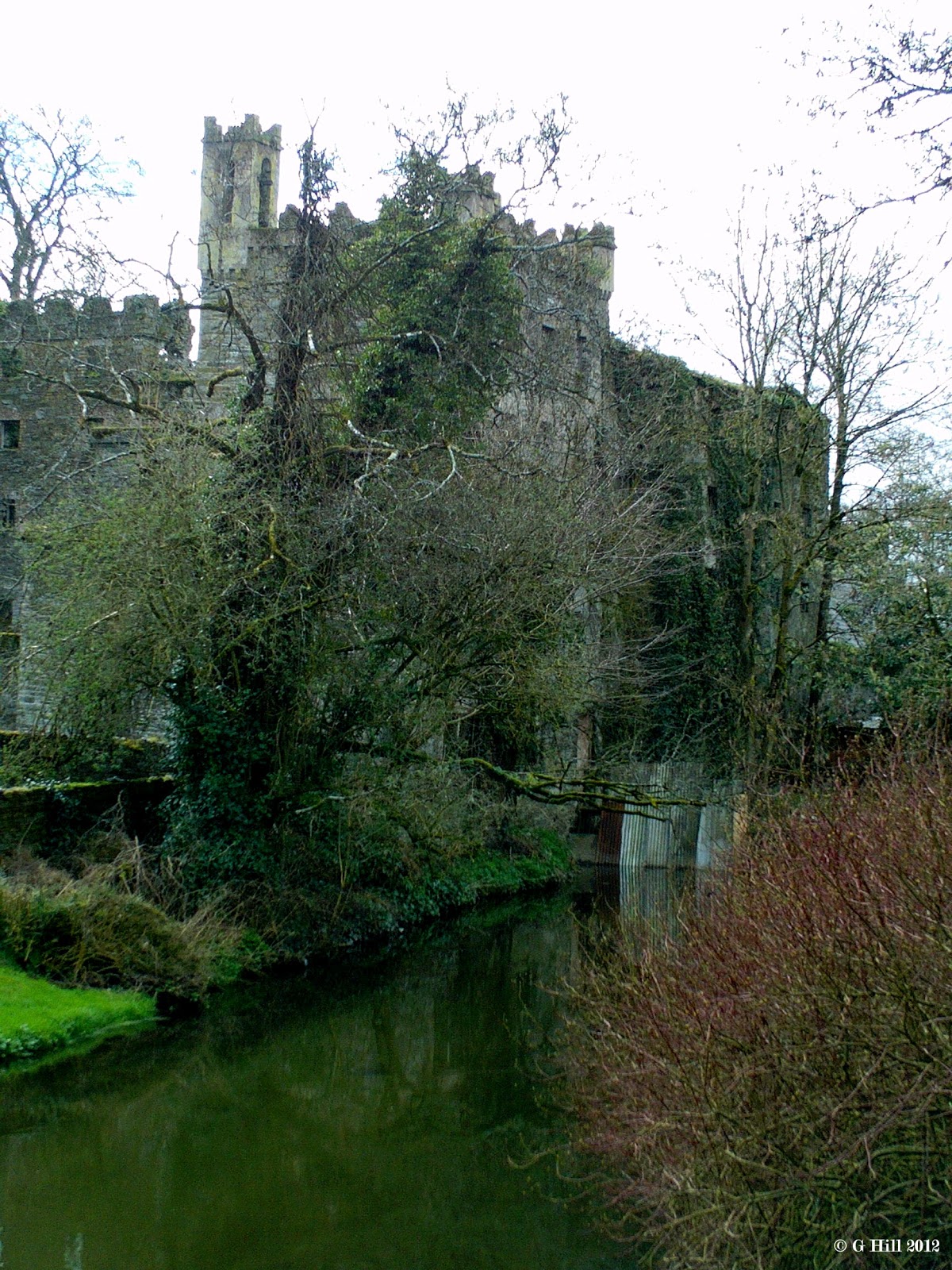 Ireland In Ruins: Moone Mill Co Kildare