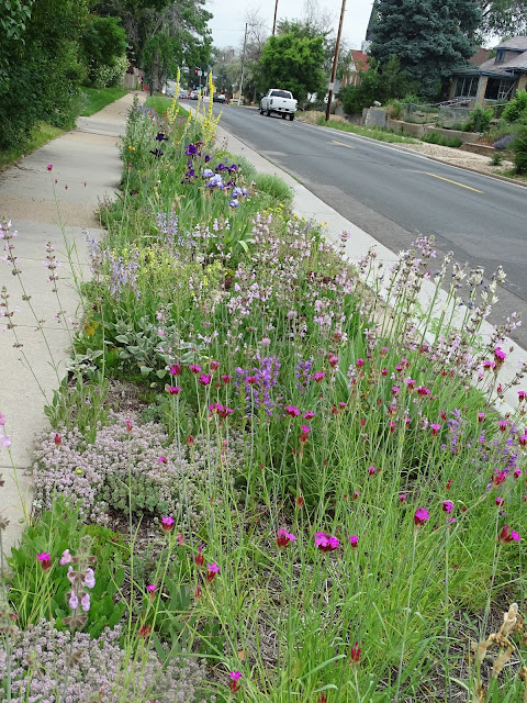 Prairiebreak: A heavenly Hell Strip