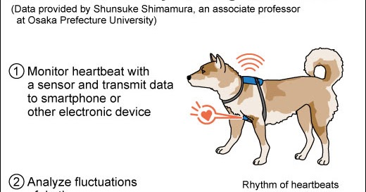 Paradigm InfoStream: HEALTH - New Heart Sensor Detects Stress in Dogs
