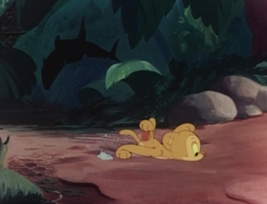 The Lost Continent: Animaland: The Lion