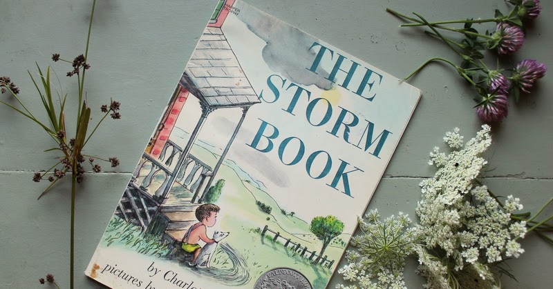 Books and Umbrellas: The Storm Book by Charlotte Zolotow & Illus by ...