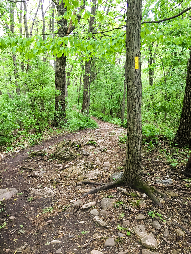 Hiking the Lapham Peak Segment of the Ice Age Trail
