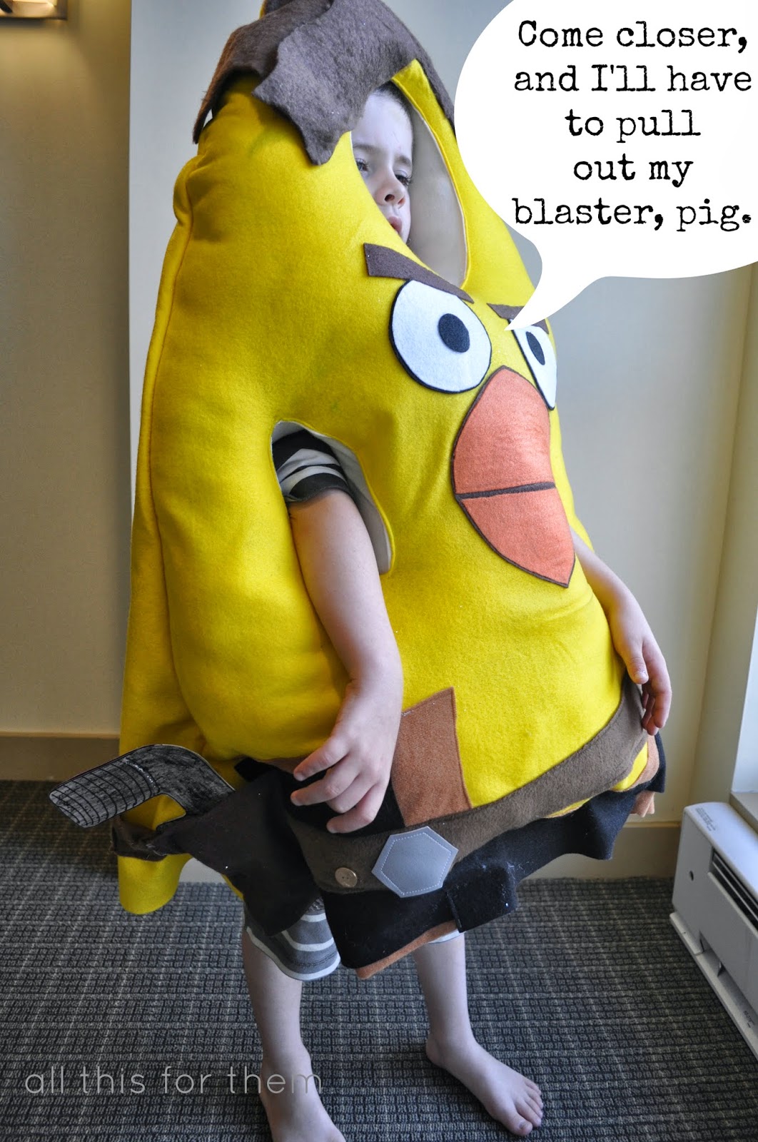 all this for them: Angry Birds Chuck "Ham" Solo Costume ~ are you ready ...