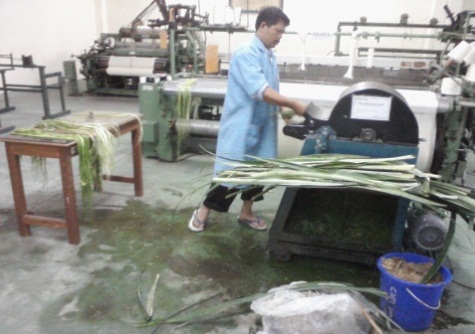 Ilmu Textill Serat Alam Batang Dan Daun: Serat Batang dan Daun